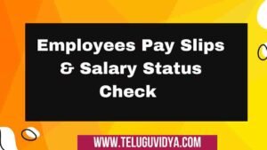 AP Employees Pay Slip & Salary Status Check | AP Employee Payslip ...